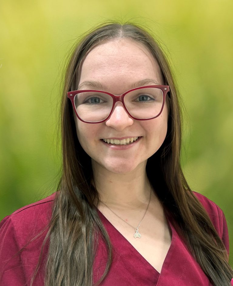 Wie wir arbeiten – vetacare